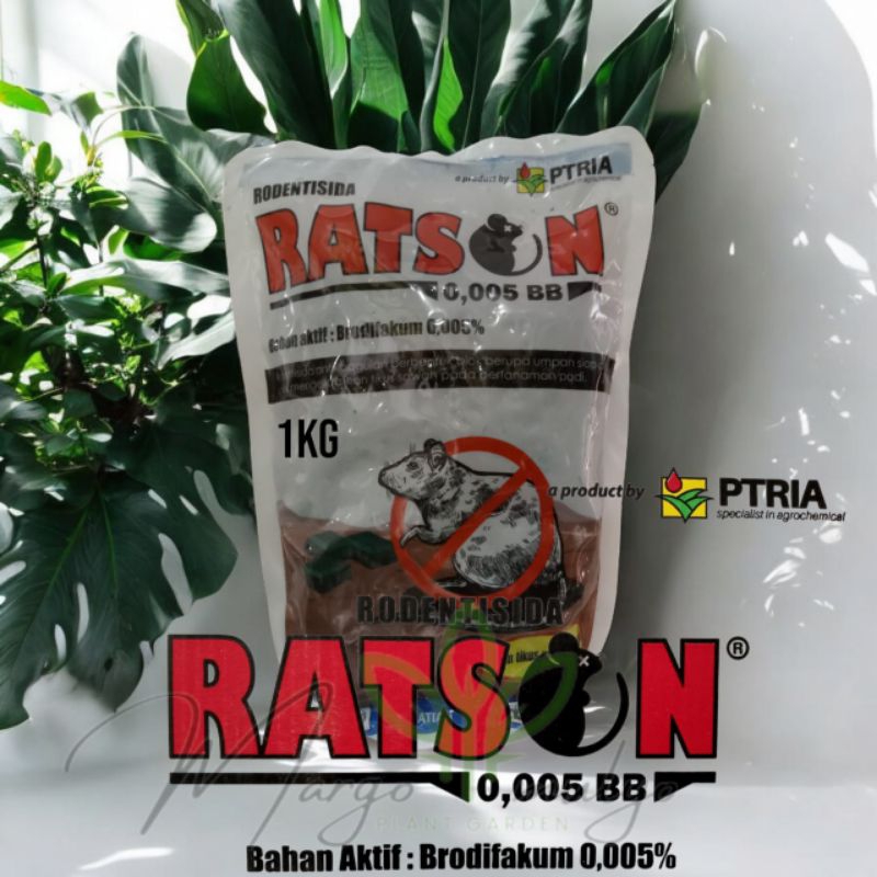 Jual Obat Tikus RATSON Bahan Aktif Brodifakum Untuk Sawah dan Rumah ...