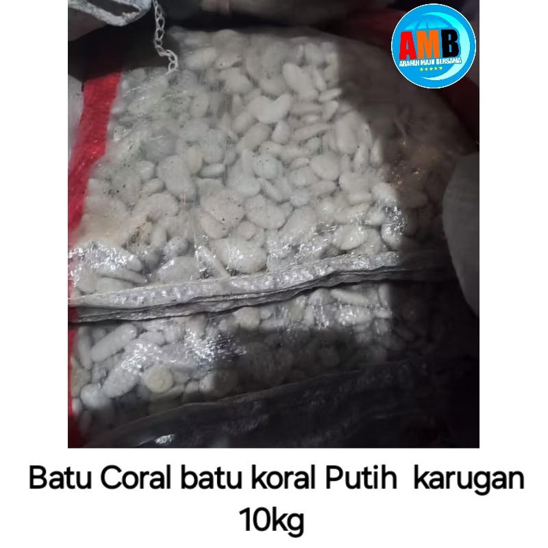 Jual Batu koral batu coral putih/batu hias/batu taman/batu aquarium ...