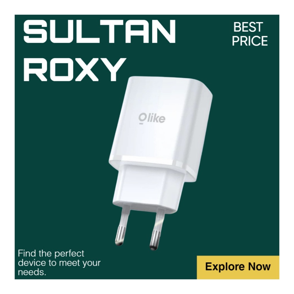 Jual 1PCS OLIKE C109 Travel Adapter 2,4A Batok Charger with Smart ...