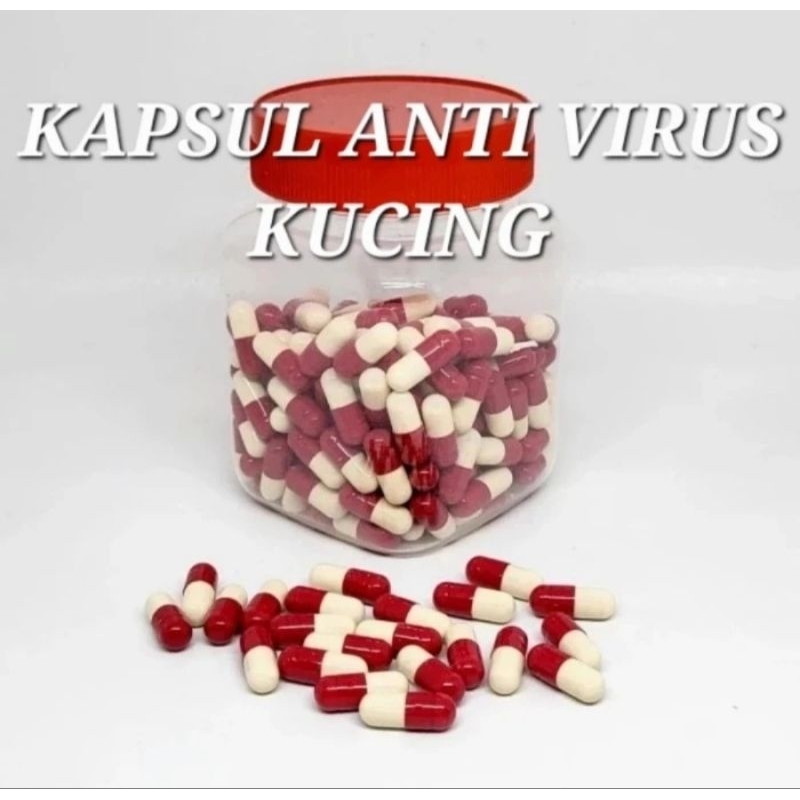 Jual Obat Anti Virus Kucing Kapsul Anti Virus Kucing Calici Distemper ...