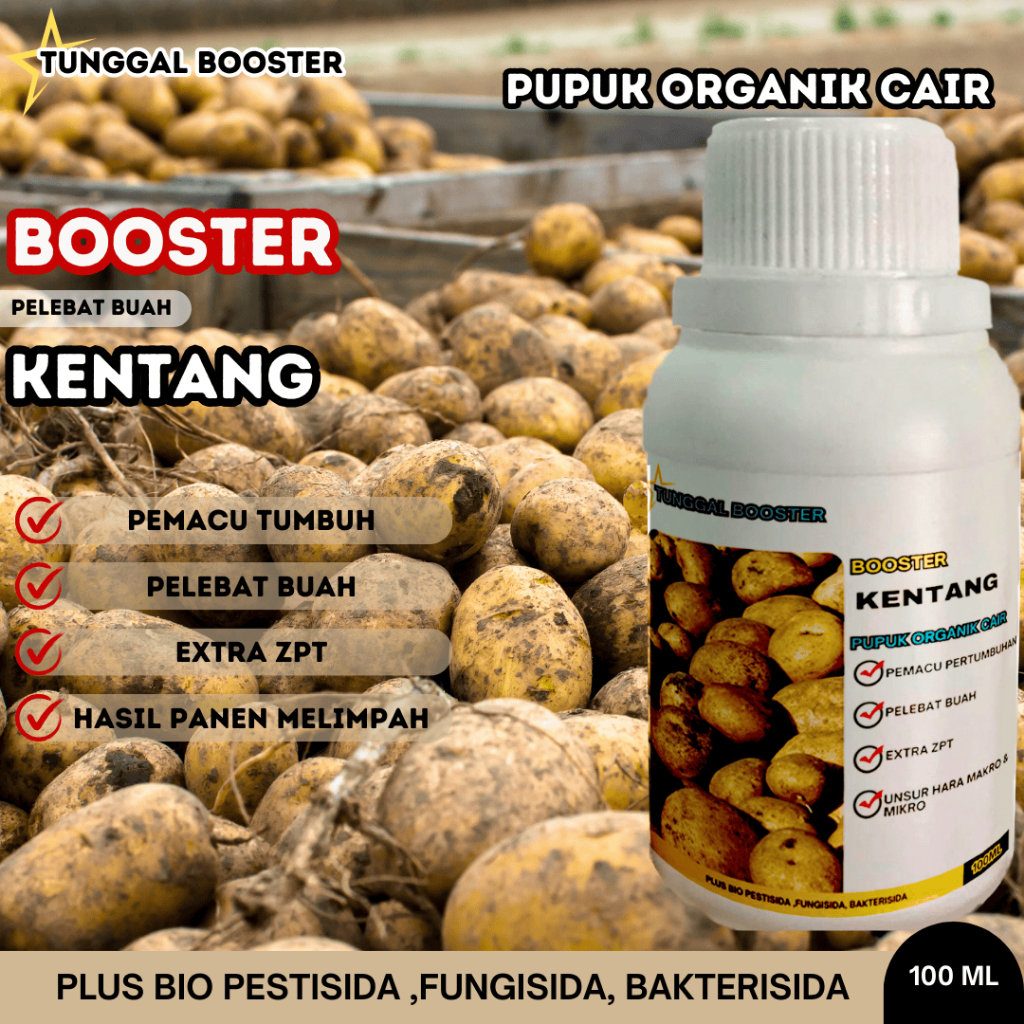 Jual PUPUK ORGANIK CAIR TANAMAN KENTANG, BOOSTER PELEBAT BUAH KENTANG ...