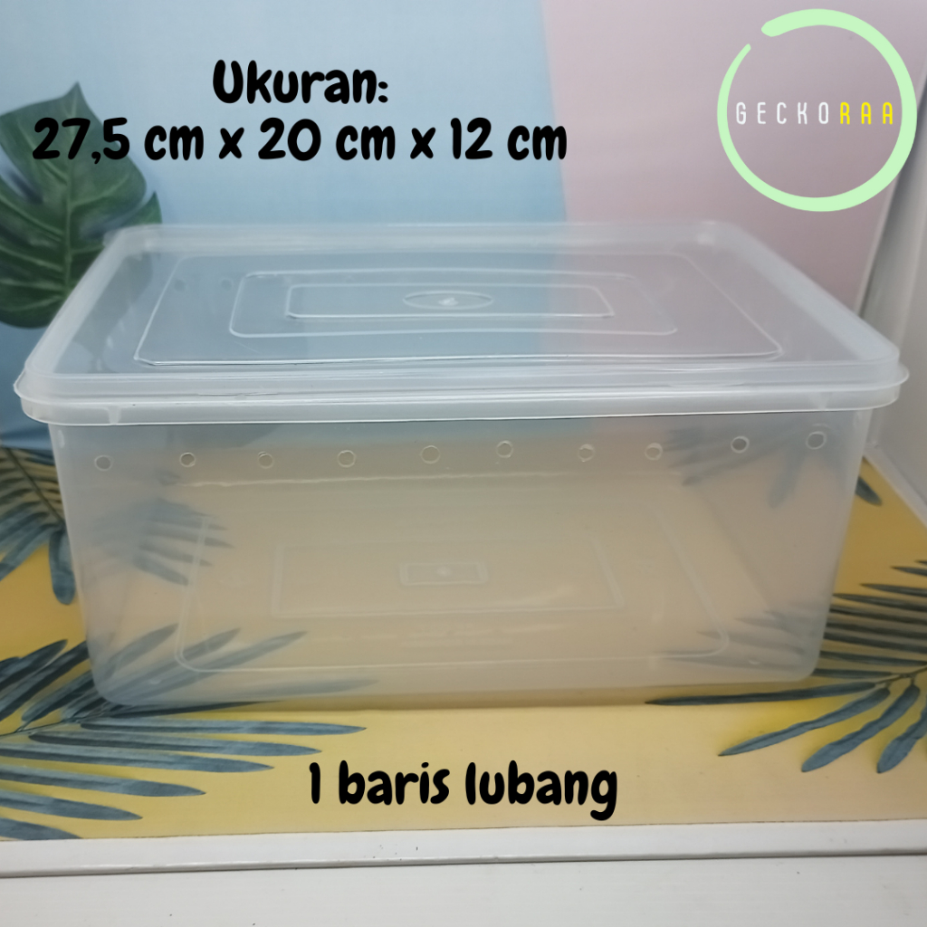 Jual Kandang Box Kotak Habitat Tempat Tinggal Baby Juvenile Remaja Reptil Gecko AFT Ukuran Kecil ...