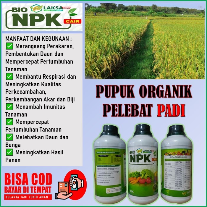 Jual PUPUK PELEBAT PADI MURAH - BIO NPK CAIR LAKSA GROW Pupuk Ampuh Melebatkan Padi dan Berbobot ...