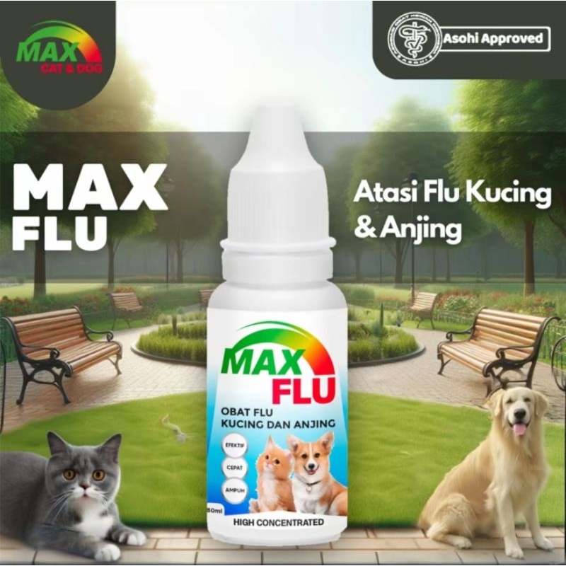 Jual MAX FLU 10ml Obat Flu dan Batuk Untuk Kucing dan Anjing 10ml ...