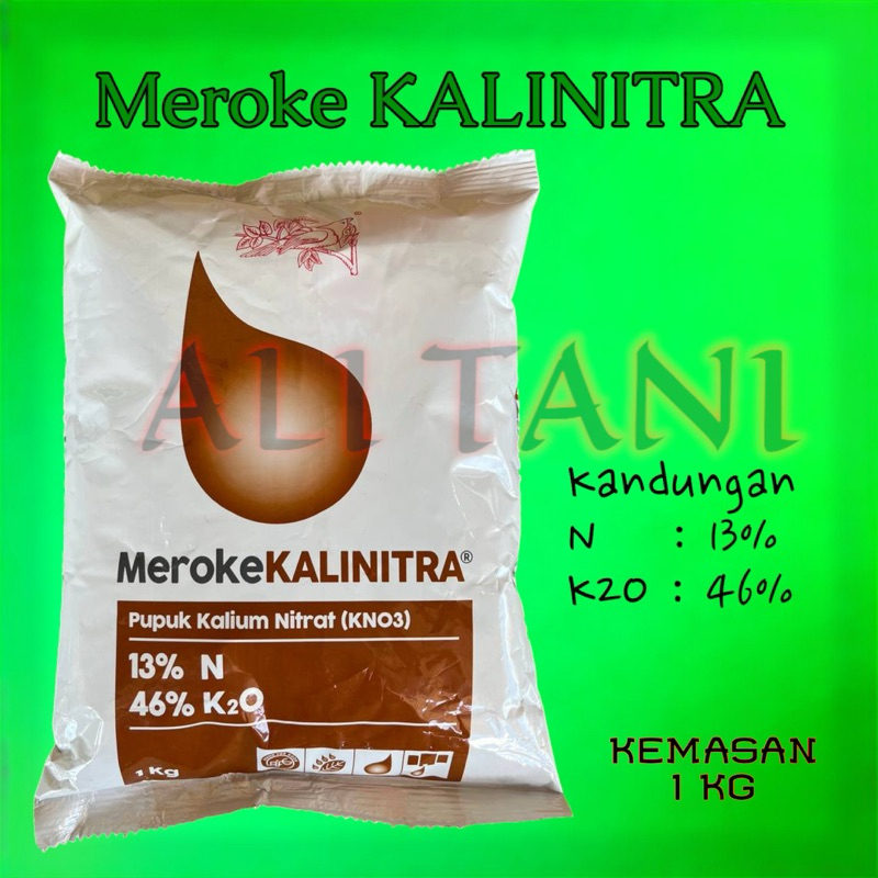 Jual KALINITRA Kemasan 1 KG Pupuk Kalium Nitrat Hidroponik untuk ...