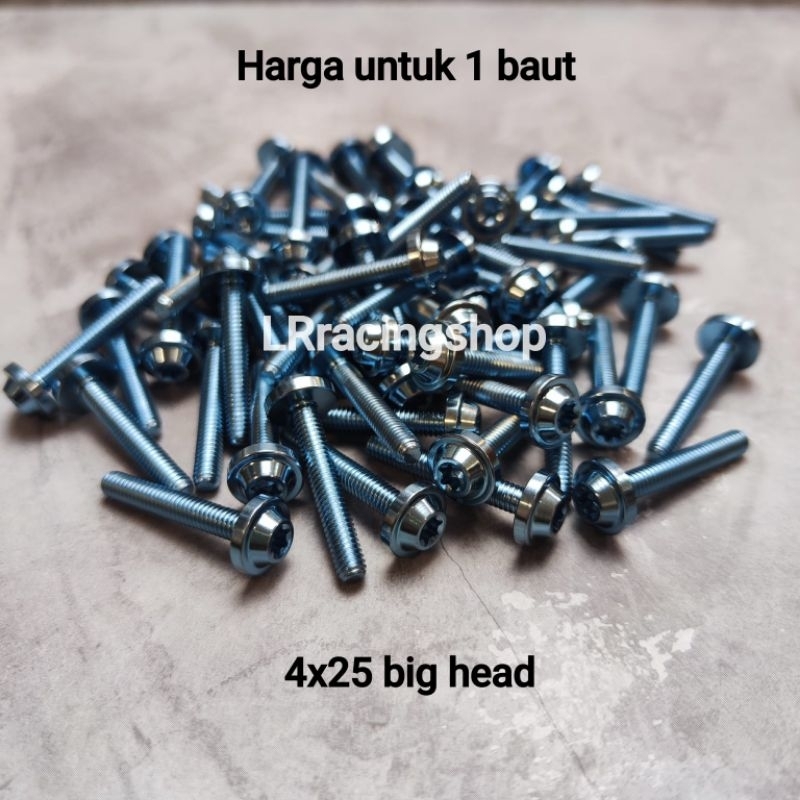 Jual Baut titanium probolt 4x25 drat 6 big head original titanium ...