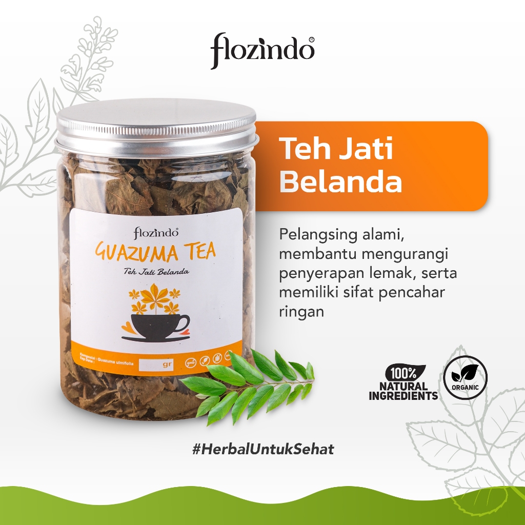 Jual Teh Jati Belanda FLOZINDO – Herbal Pelangsing Alami | Membantu ...