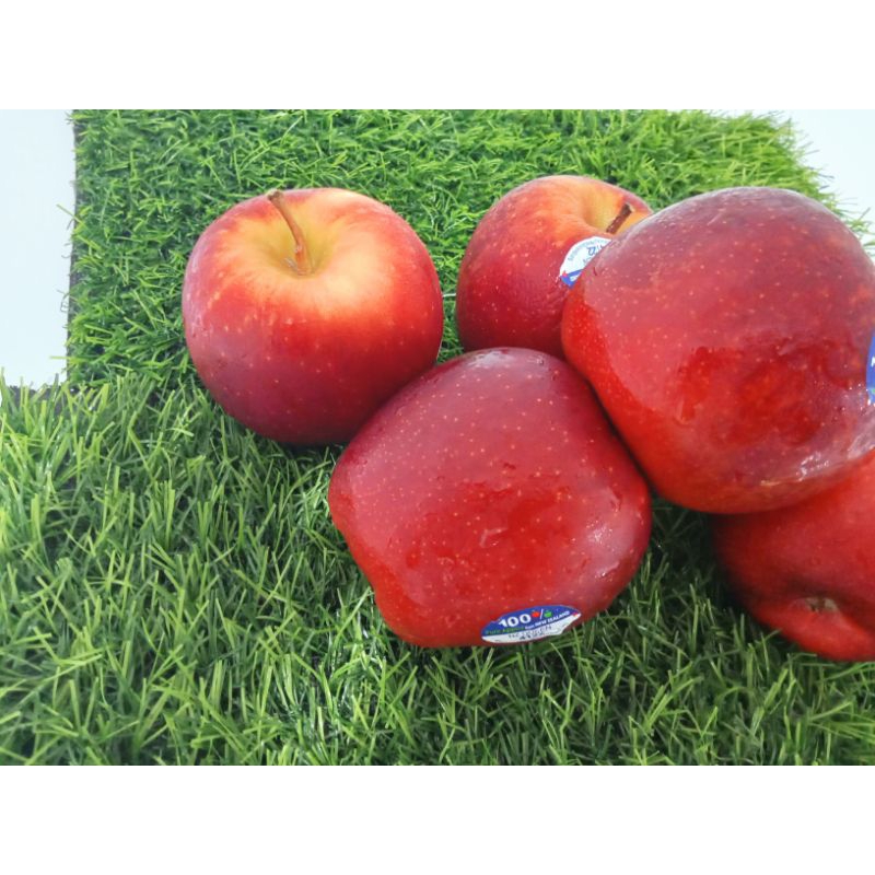 Jual APEL FUJI GALA USA | Shopee Indonesia