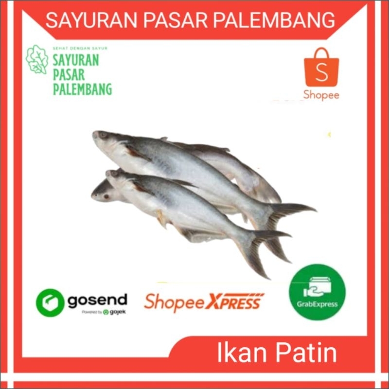 Jual Ikan Patin Fresh - Sayuran Pasar Palembang | Shopee Indonesia