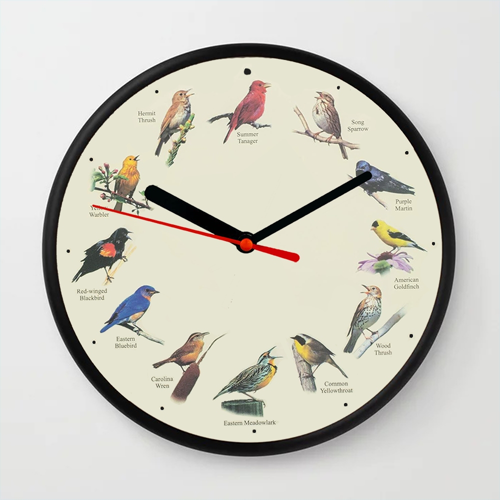 Jual Jam Dinding Dekoratif 12 Burung Populer Jam Kreatif Unik Cocok ...