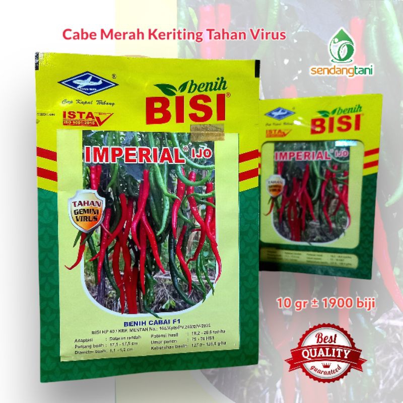 Jual Benih Cabe IMPERIAL Ijo F1 10 Gr Bibit Cabai Merah Keriting Tahan ...