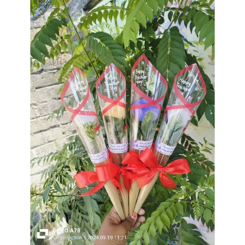 Jual single rose cocok buat pacar atau kado hari guru | Shopee Indonesia