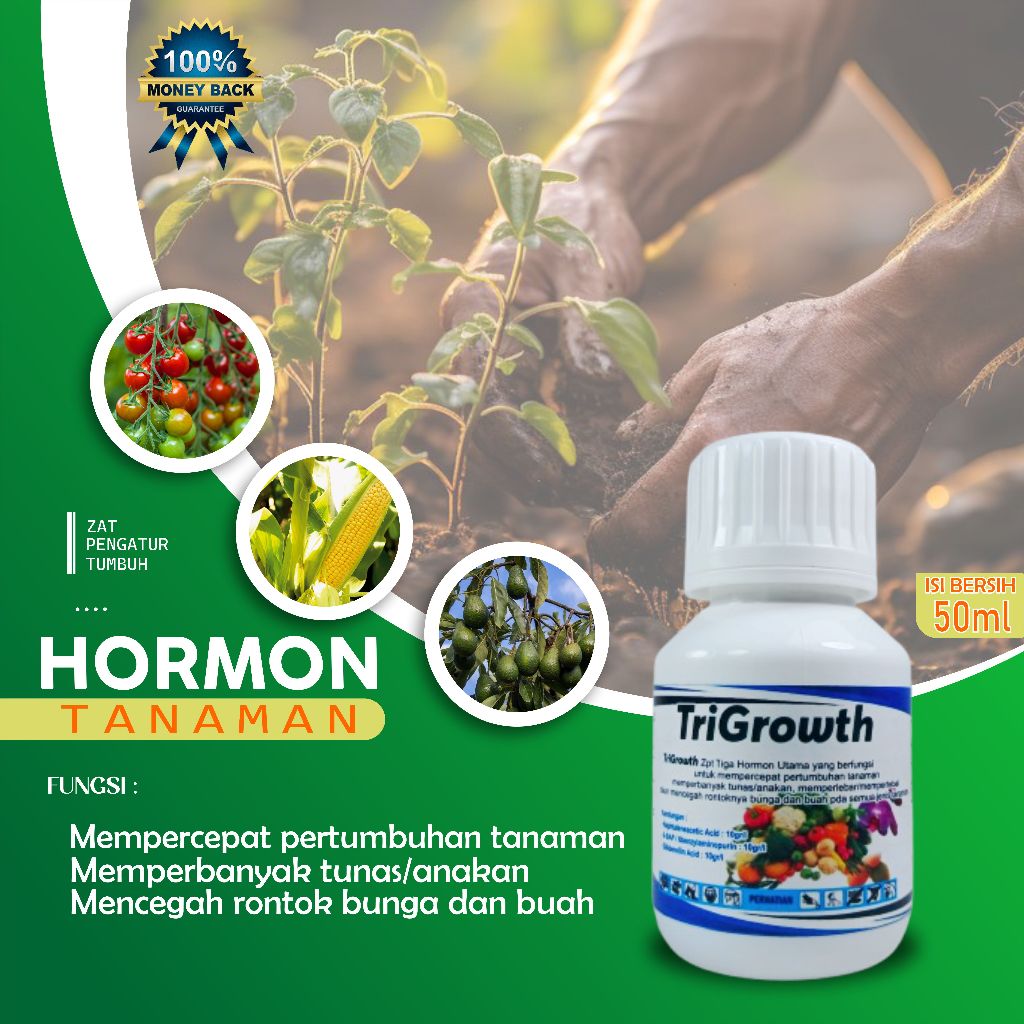 Jual Zpt Penyubur tanaman Sayuran Pelebat Daun dan Buah | Shopee Indonesia