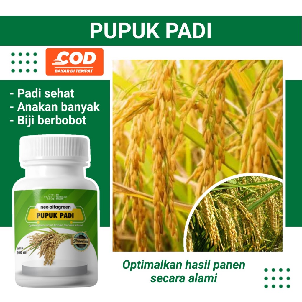 Jual Neo Padi Pupuk Hayati Unggulan untuk Memaksimalkan Pertumbuhan ...