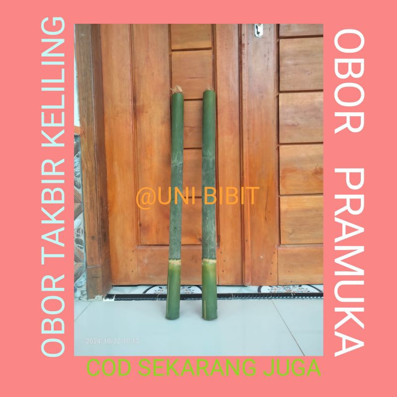 Jual Obor bambu untuk pawai dan kemping / obor bambun dan sumbu / obor ...