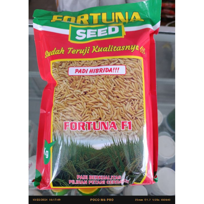 Jual Padi Hibrida Fortuna F1 1kg varietas sama dgn Mapan P05 | Shopee Indonesia