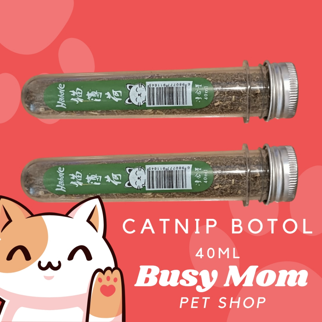 Jual Catnip Botol Camilan Kucing Catnip Catmint Menthol Snack Makanan ...