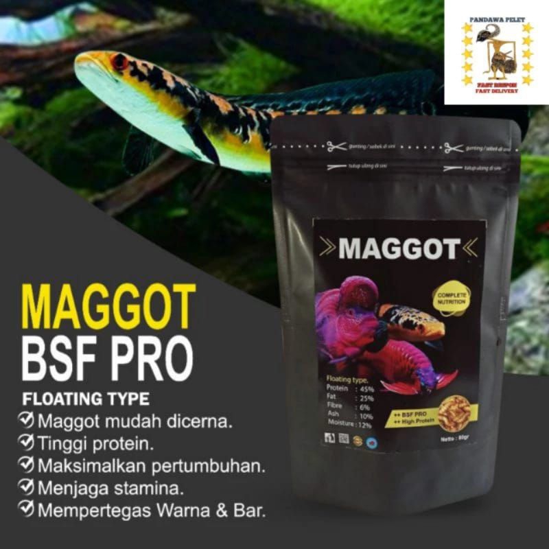Jual MAGGOT BSF PRO maggot kering dry maggot pakan ikan Louhan Arwana ...