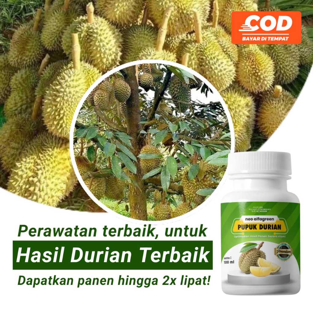 Jual Pupuk Booster Organik Pelebat Buah Durian dan Pemacu Bunga, Cepat Berbuah dan Hasil Lebat ...