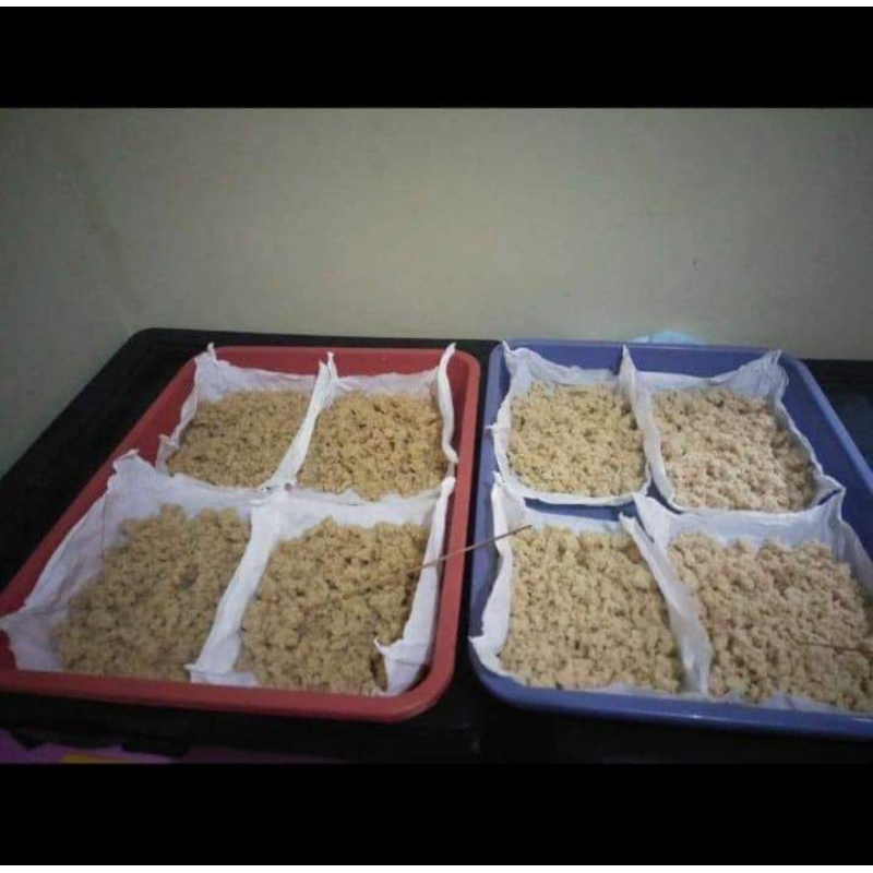 Jual Telur Maggot bsf berkualitas menetas 100% harga per gram ya kak ...