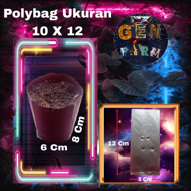Jual Polibag Polybag 10X12 Polibag Polybag Tanaman 10 X 12 Polibeg ...