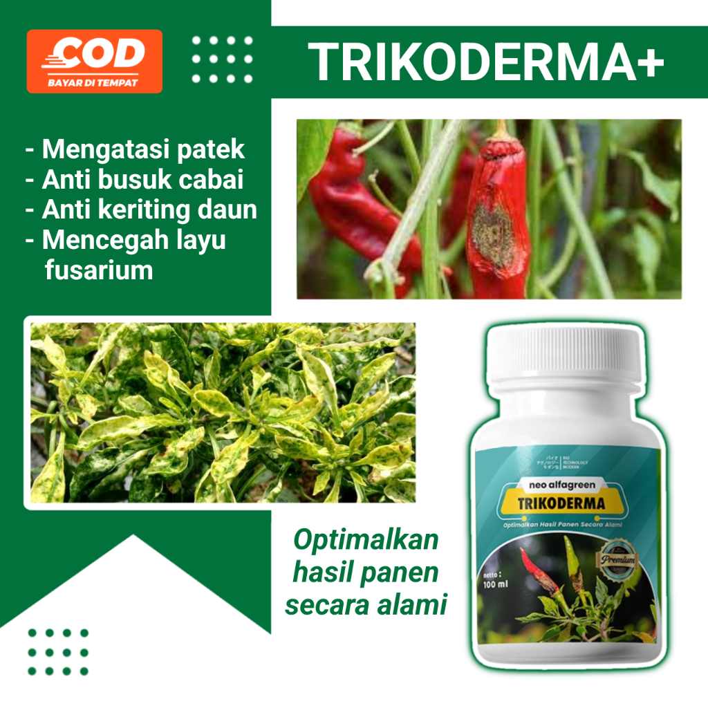 Jual NEO Trikoderma Fungsida Hayati Pembasmi Jamur dan Obat Busuk Akar ...