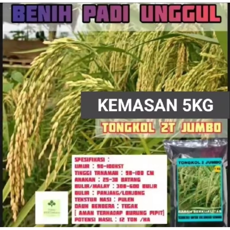 Jual Benih padi unggul tongkol T2 kemasan 5Kg | Shopee Indonesia