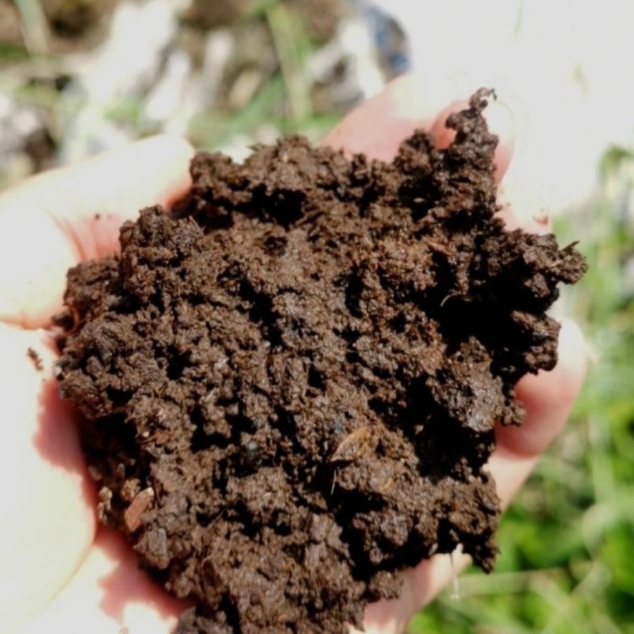 Jual PUPUK KANDANG ORIGINAL KOHE SAPI MURNI | Shopee Indonesia