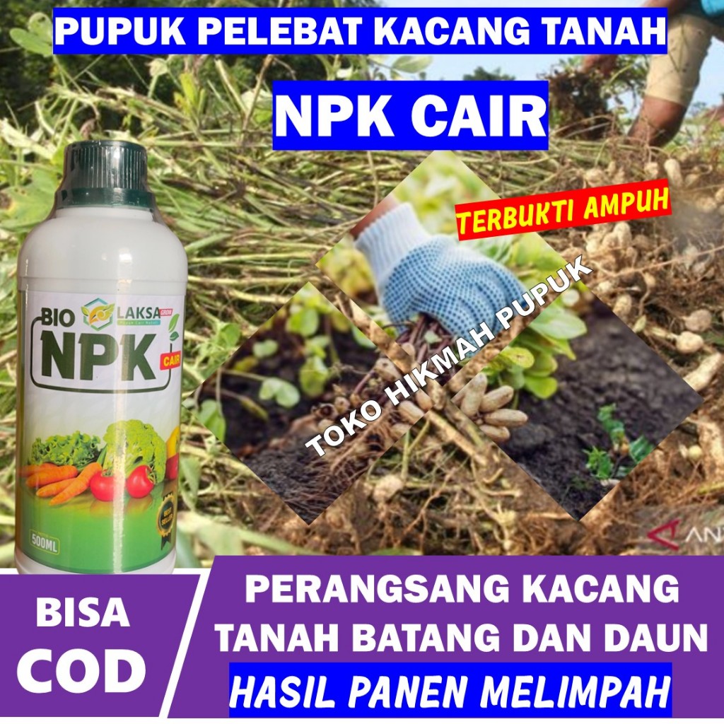 Jual Pupuk NPK 6-4-3 PERBANYAK KACANG TANAH NPK CAIR 500 ML Panen Kacang Tanah Lebih Berbobot ...