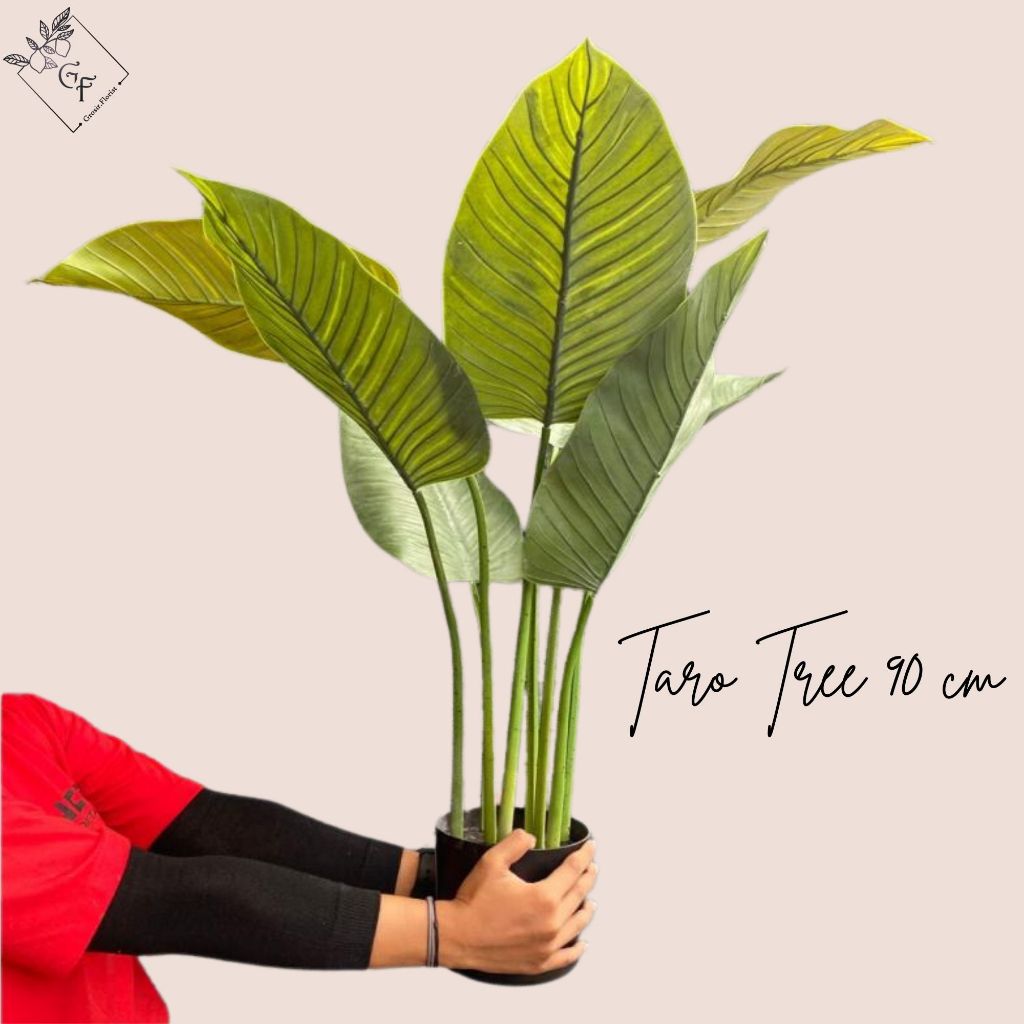 Jual TERLENGKAP (QC) TARO TREE 90 CM ARTIFICIAL BUNGA HIASAN RUMAH ...