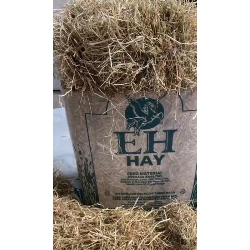 Jual Ryegrass Hay Untuk Young Rabbit | Shopee Indonesia