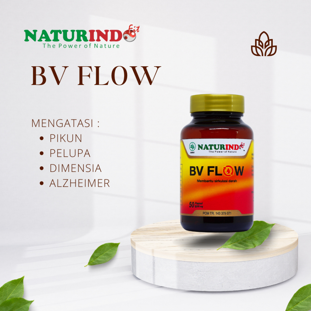 Jual OBAT PIKUN OBAT PELUPA ANTI LUPA PIKUN LANSIA DIMENSIA DAYA INGAT ...
