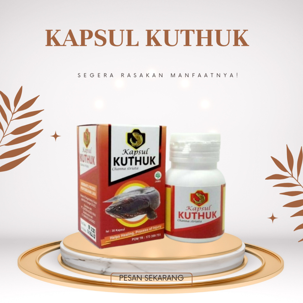 Jual Kapsul Ekstrak Ikan Gabus Kuthuk / Kapsul kutuk | Shopee Indonesia