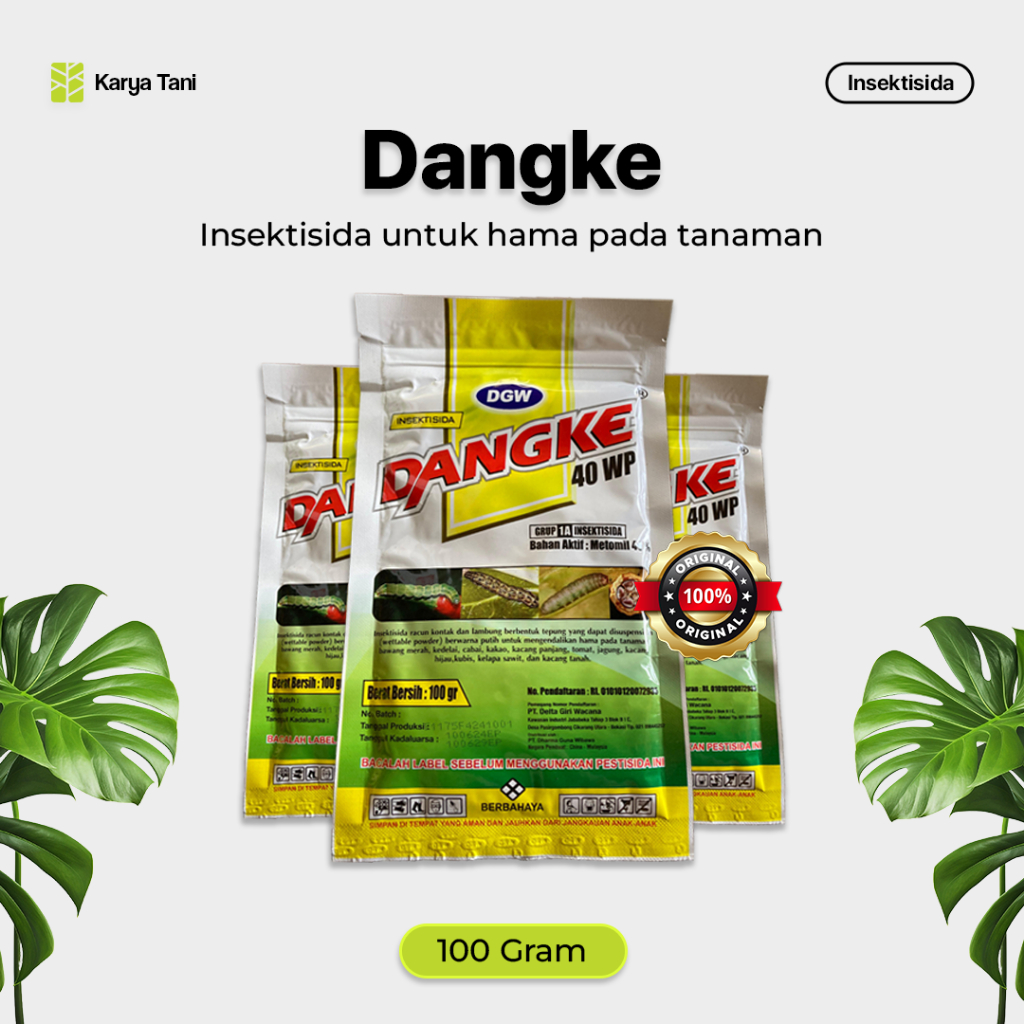 Jual DANGKE 40WP 100 GRAM INSEKTISIDA PEMBASMI HAMA | Shopee Indonesia