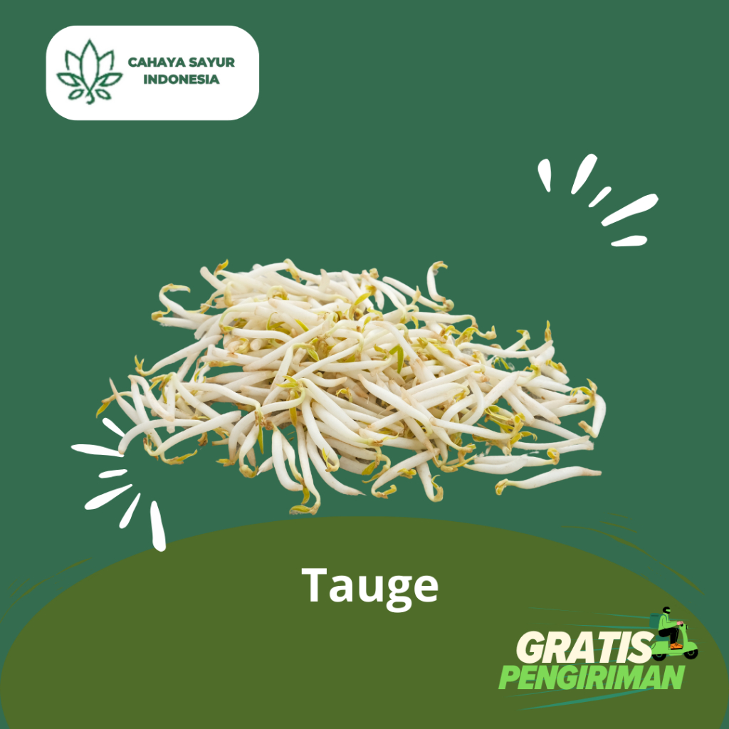 Jual Tauge / Toge / Toge Panjang / Toge Biasa / Toge Pendek / Kecambah ...