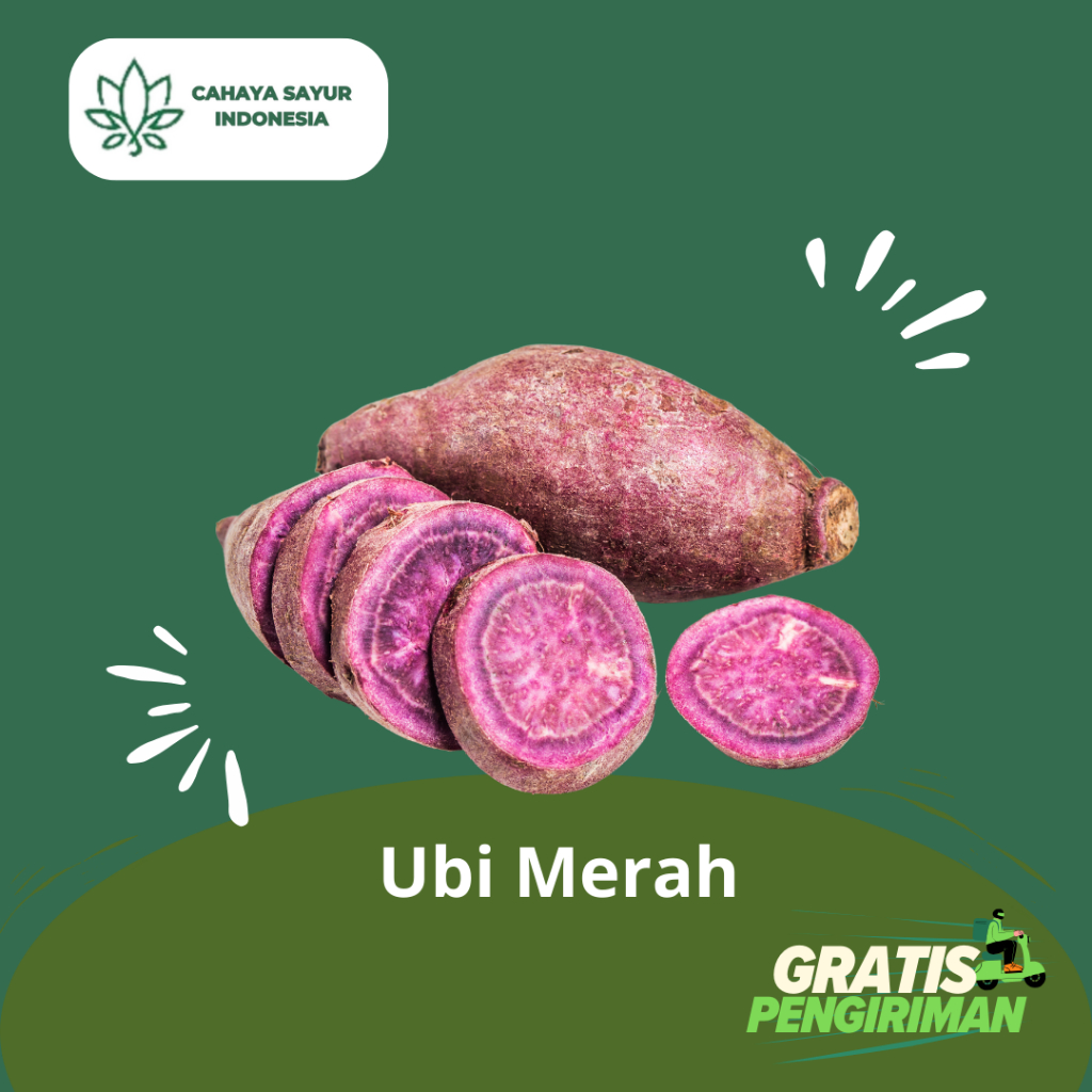 Jual Ubi Merah / Ubi Jalar Merah Segar 1KG | Shopee Indonesia