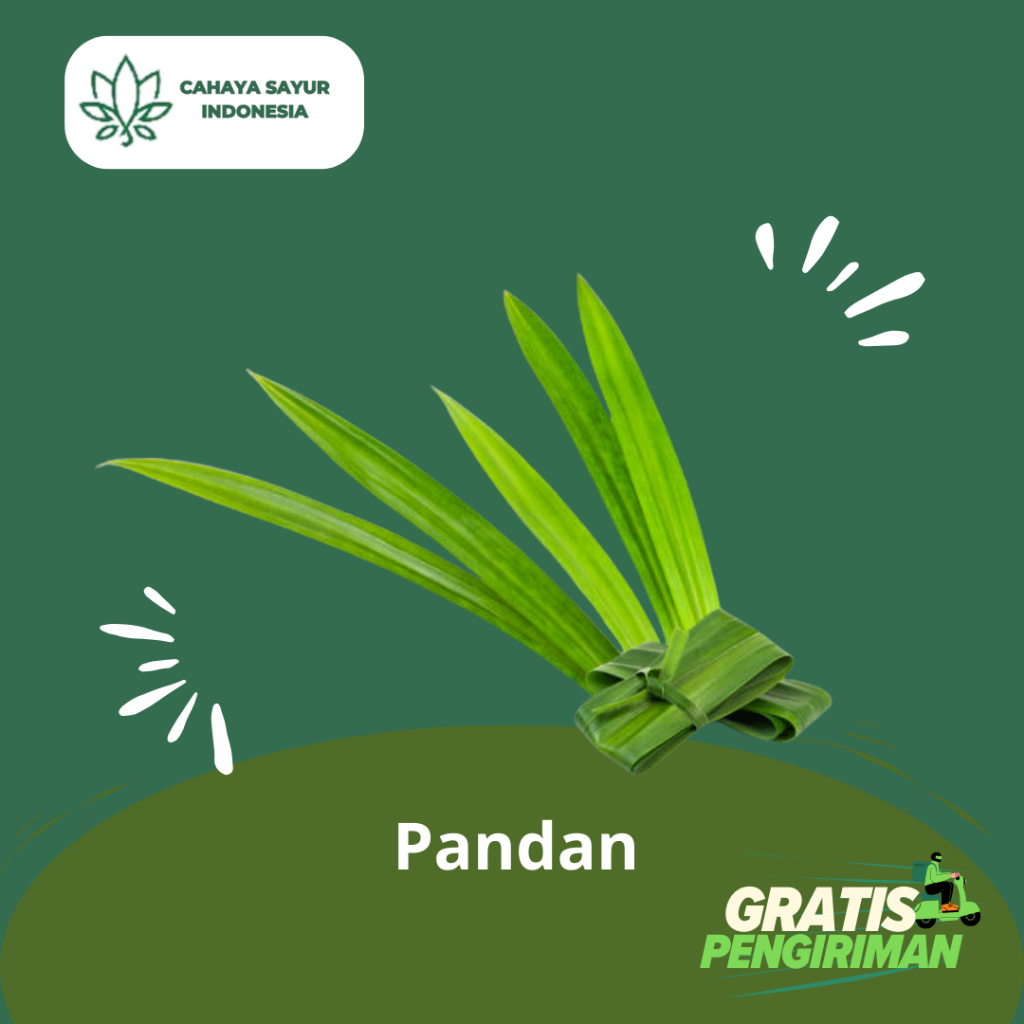 Jual Daun Pandan Wangi Segar Kualitas Terbaik 1KG | Shopee Indonesia