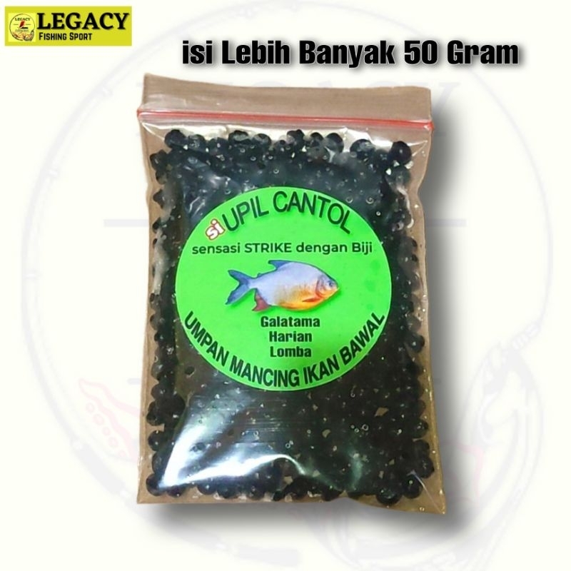 Jual Umpan Bawal UPIL CANTOL Untuk Mancing Ikan Bawal Galatama Harian Lomba Babon & Rame Umpan ...