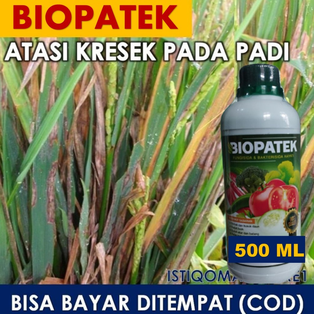 Jual OBAT KRESEK PADI PALING AMPUH BIOPATEK, Mengobati Kresek Padi ...