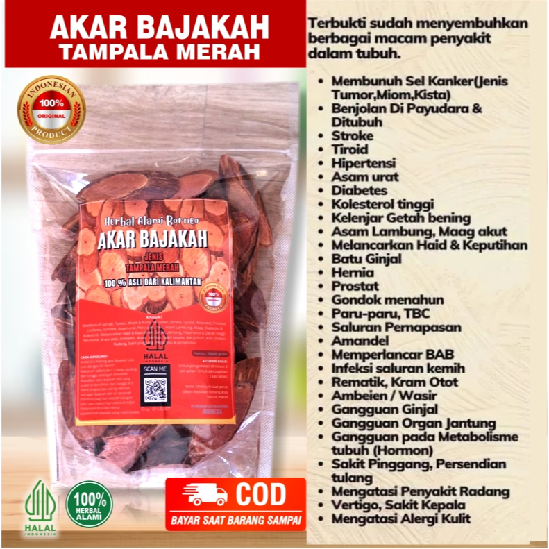 Jual AKAR BAJAKAH TAMPALA MERAH (250 GRAM) ASLI KALIMANTAN TERBUKTI ...