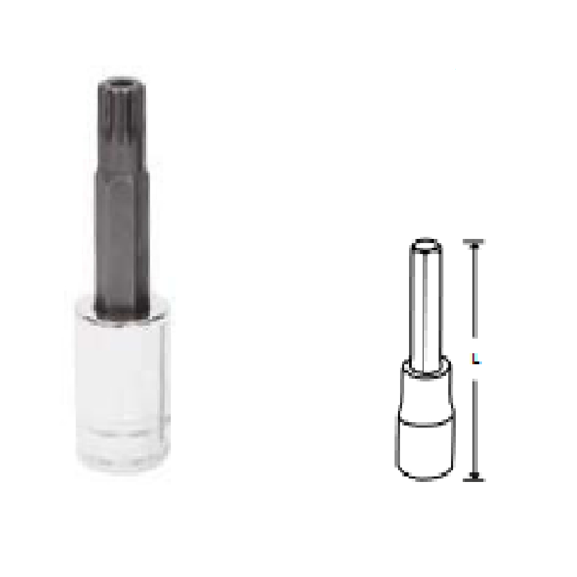 Jual 3/8" Triple Square Socket Drive M8, BLPXZNM0388, Bluepoint ...