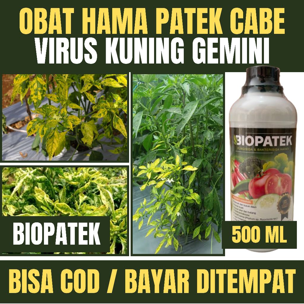 Jual Obat Semprot Patek Cabe/Cabai 500 ML- Obat Semprot BIOPATEK Cabe ... Jual Obat Semprot Patek Cabe/Cabai 500 ML- Obat Semprot BIOPATEK Cabe ...