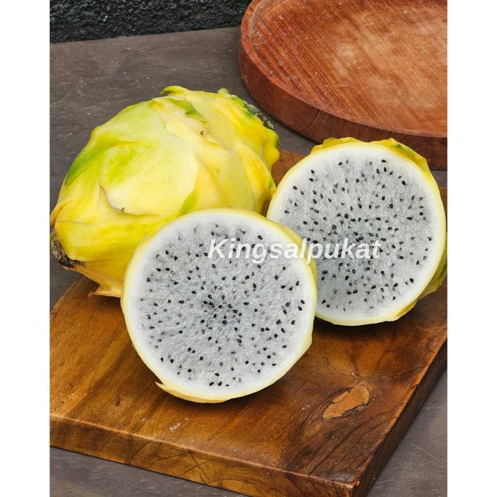 Jual Buah Naga Kuning Golden Isis Fresh dari kebun | Shopee Indonesia