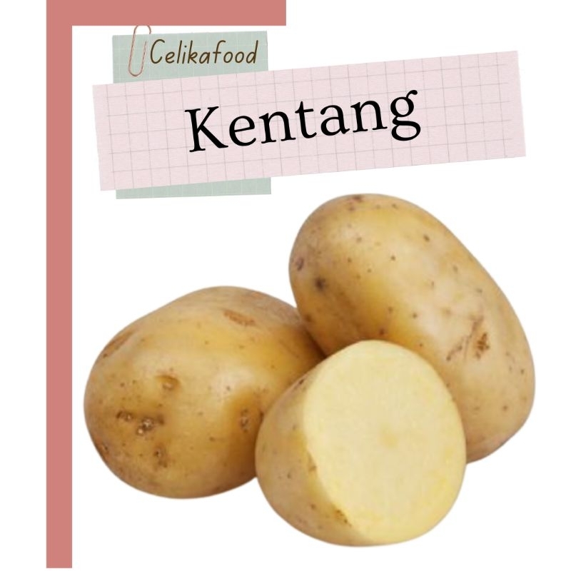 Jual Kentang Dieng 500 gr potato sayuran fresh vegetable | Shopee Indonesia