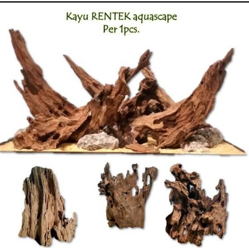 Jual Kayu rentek size mini aquarium aquascape hamster paludarium ...