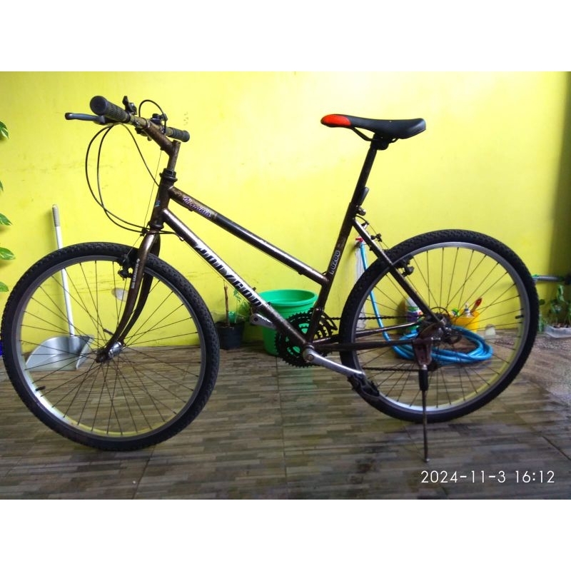Jual sepeda polygon virginia | Shopee Indonesia
