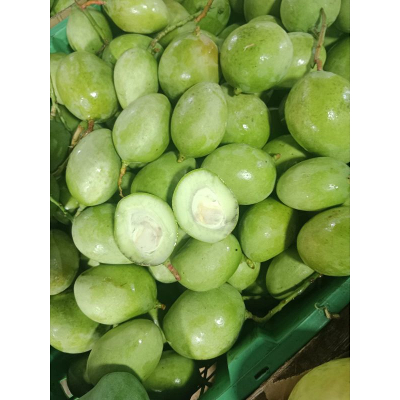Jual mangga telor muda / mangga keong/ mangga donat bahan rujakan fresh ...