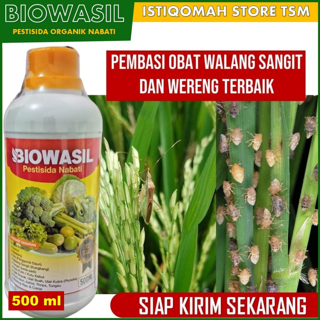 Jual PESTISIDA NABATI BIOWASIL 500 ML Obat Semprot Atasi Hama Walang ...