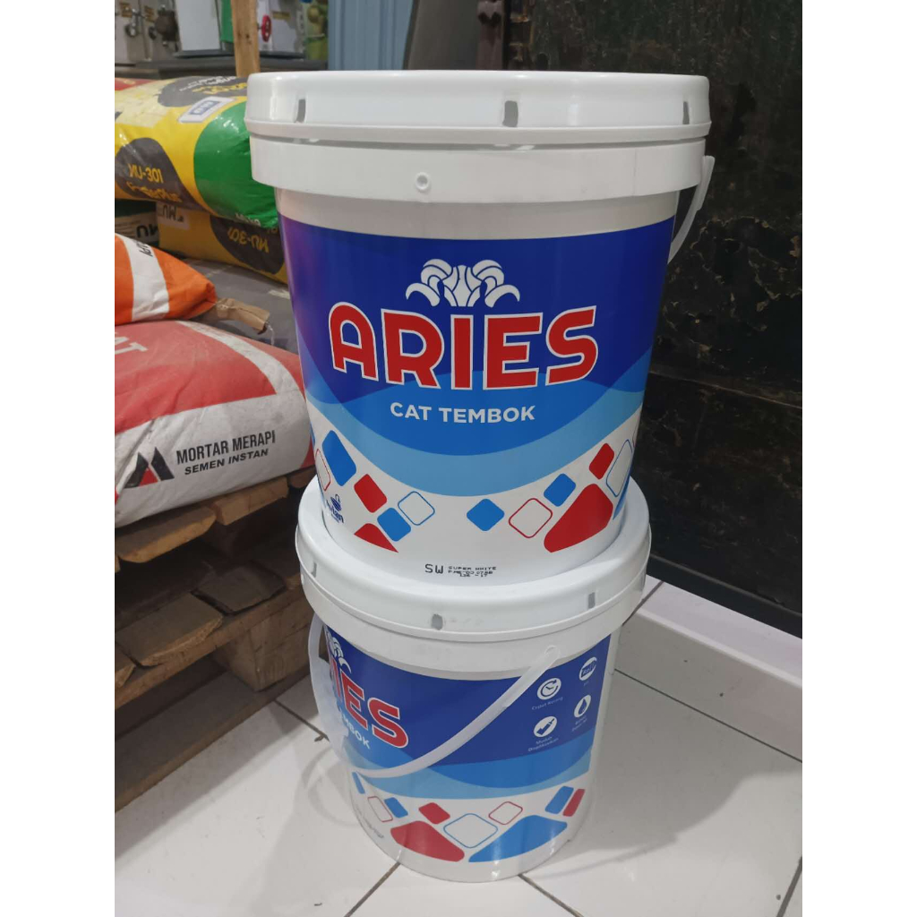Jual CAT TEMBOK SUPER WHITE ARIES 20 KG AVIAN PAINT CAT PLAFOND ...