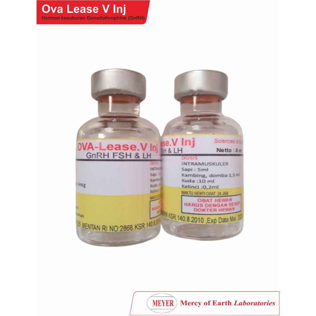 Jual Ova Lease V Inj Meyer 5 mL - Hormon kesuburan Gonadothrophine ...